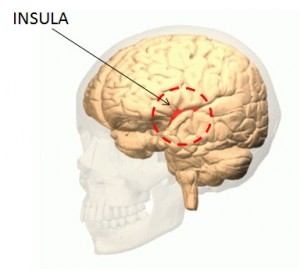 insula3-300x269 « anthropologies