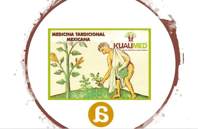 Medicina Tradicional En México Pasado Y Presente Anthropologies